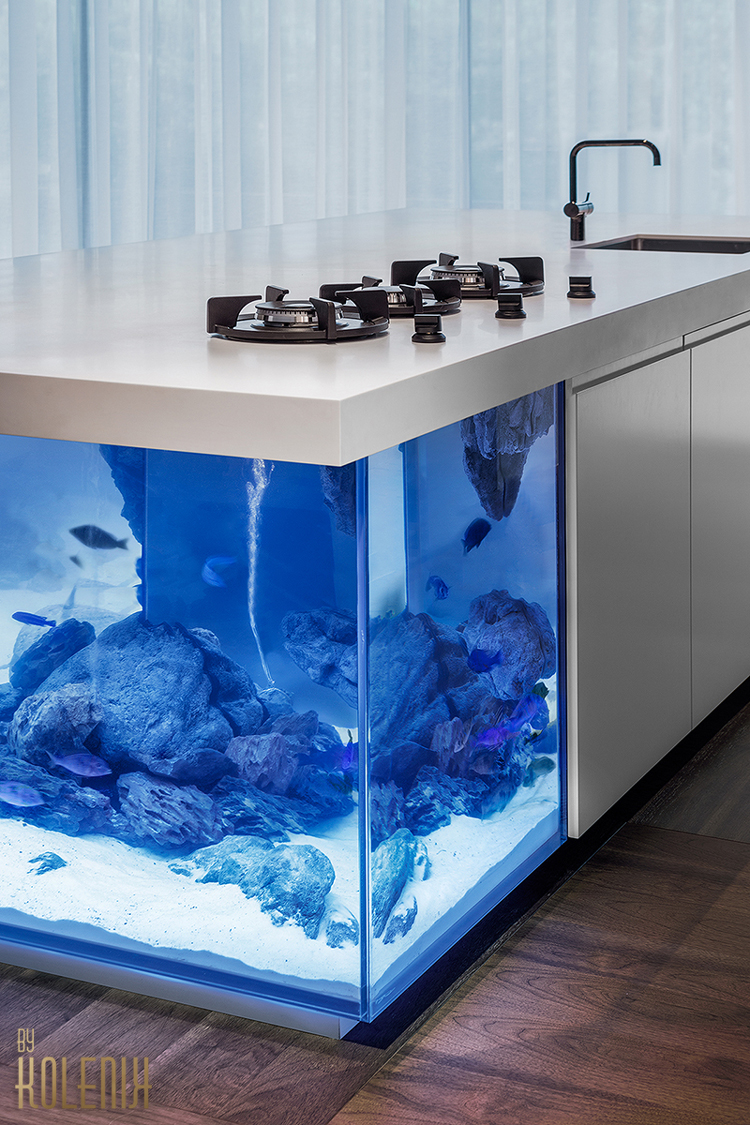 Ocean Kitchen, An Aquarium With a Kitchen Countertop on Top