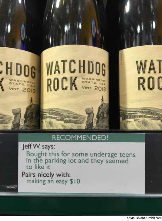 Hilariously Cheeky Wine Suggestions and Pairings Snuck Onto Liquor ...