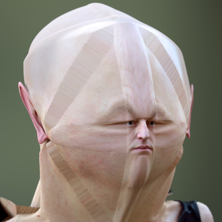 Artist Uses 3D Software to Create Delightfully Odd Deformed Faces