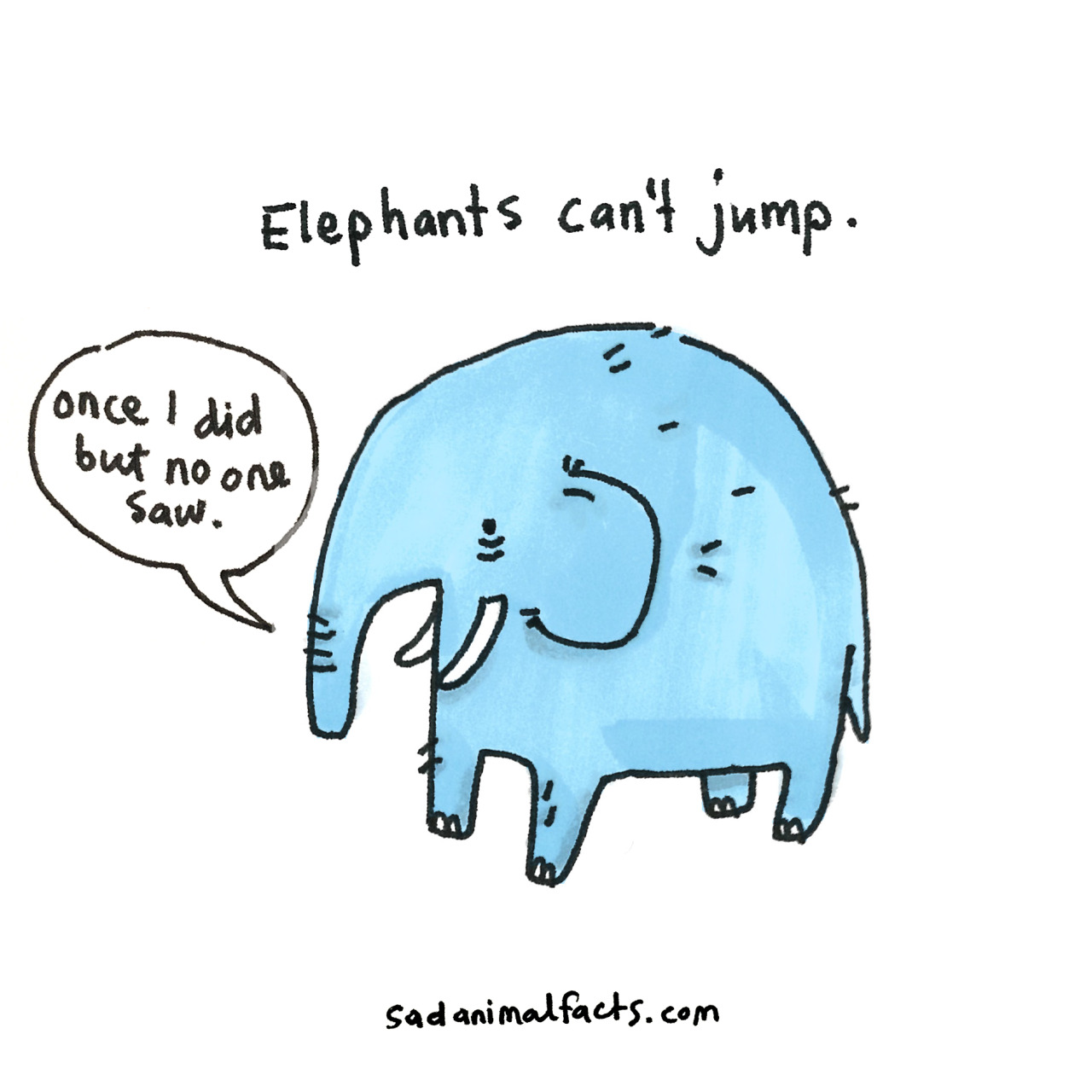 Sad Animal Facts, An Amusing Series of Adorable Illustrations With ...