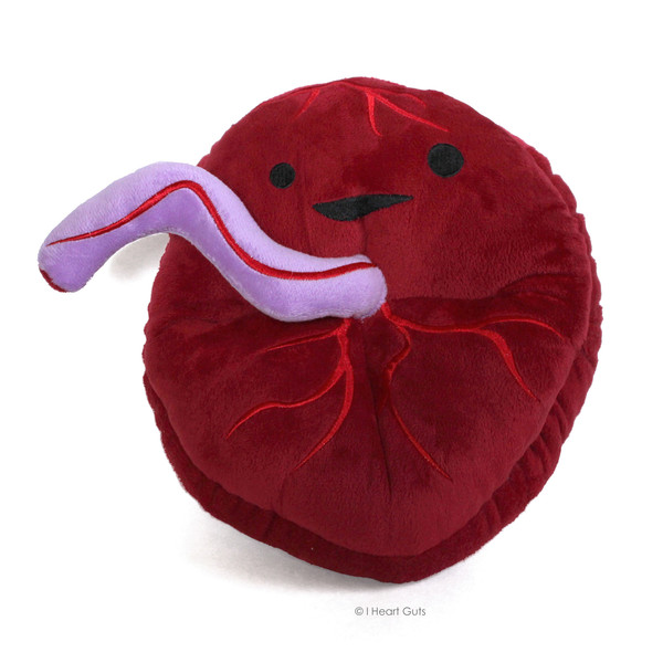 A Happy Placenta and a Smiling Tonsil Join I Heart Guts' Line of Plush ...