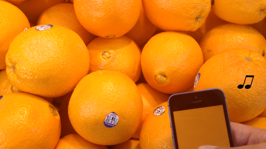 Bug, An App That Turns Color Into Music With a Touch