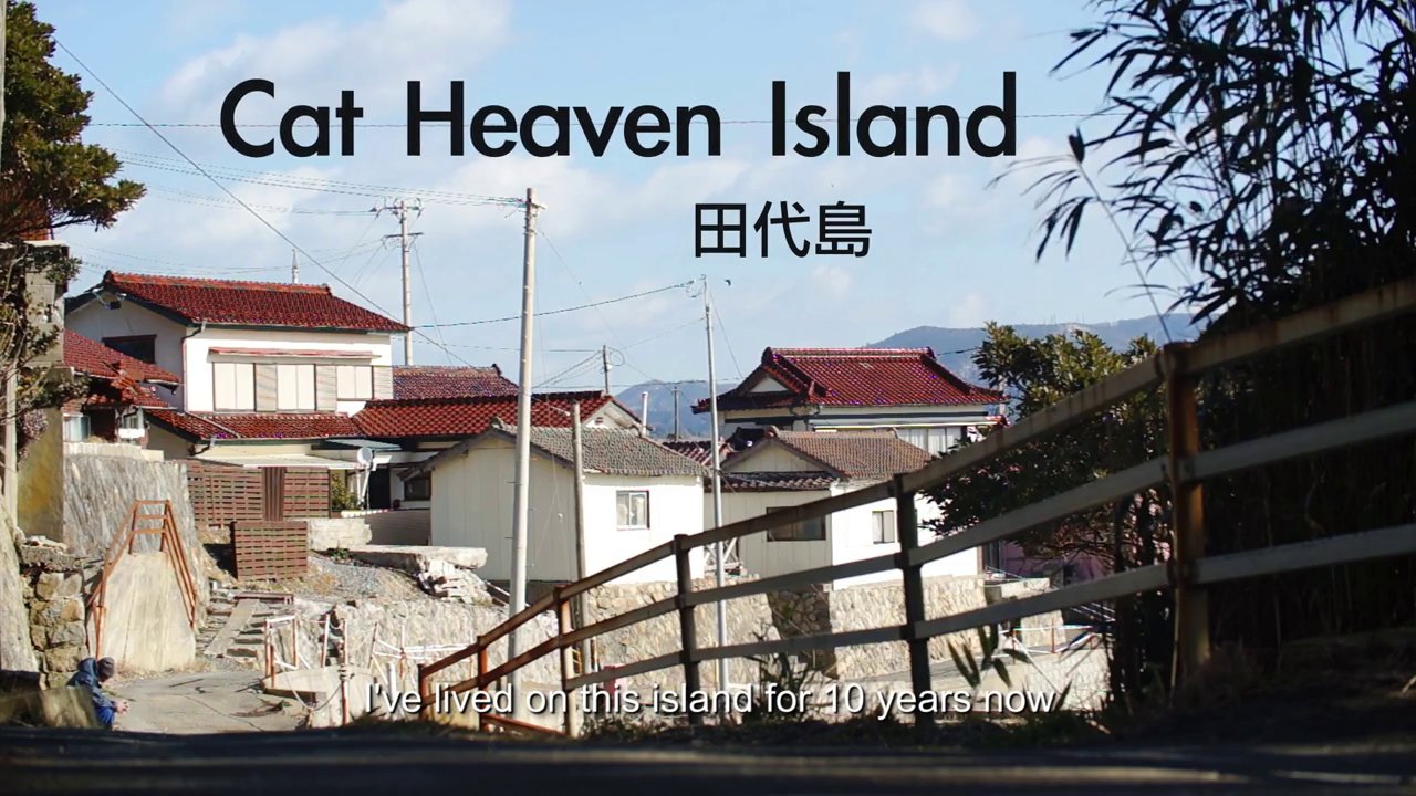 'Cat Heaven Island', A Short Film About the Island in Japan Where Cats ...