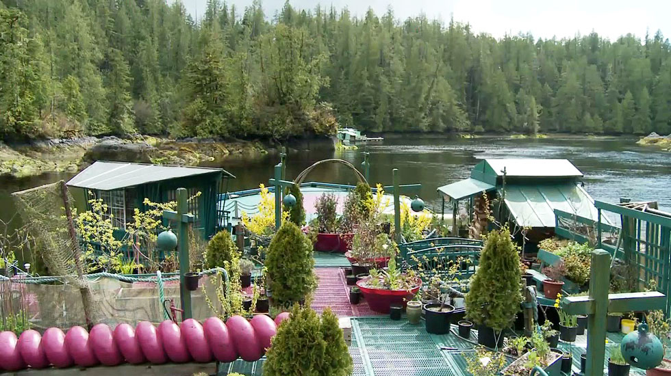 Freedom Cove, An Off-the-Grid Houseboat and Farm Located on 12 Floating ...