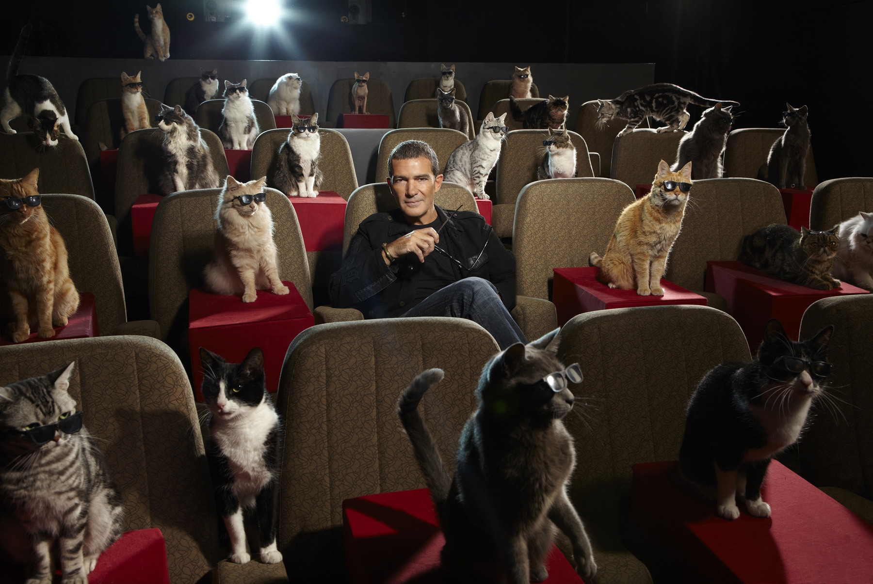 Two Cat Lovers Are Currently Raising Funds to Open the World's First ...