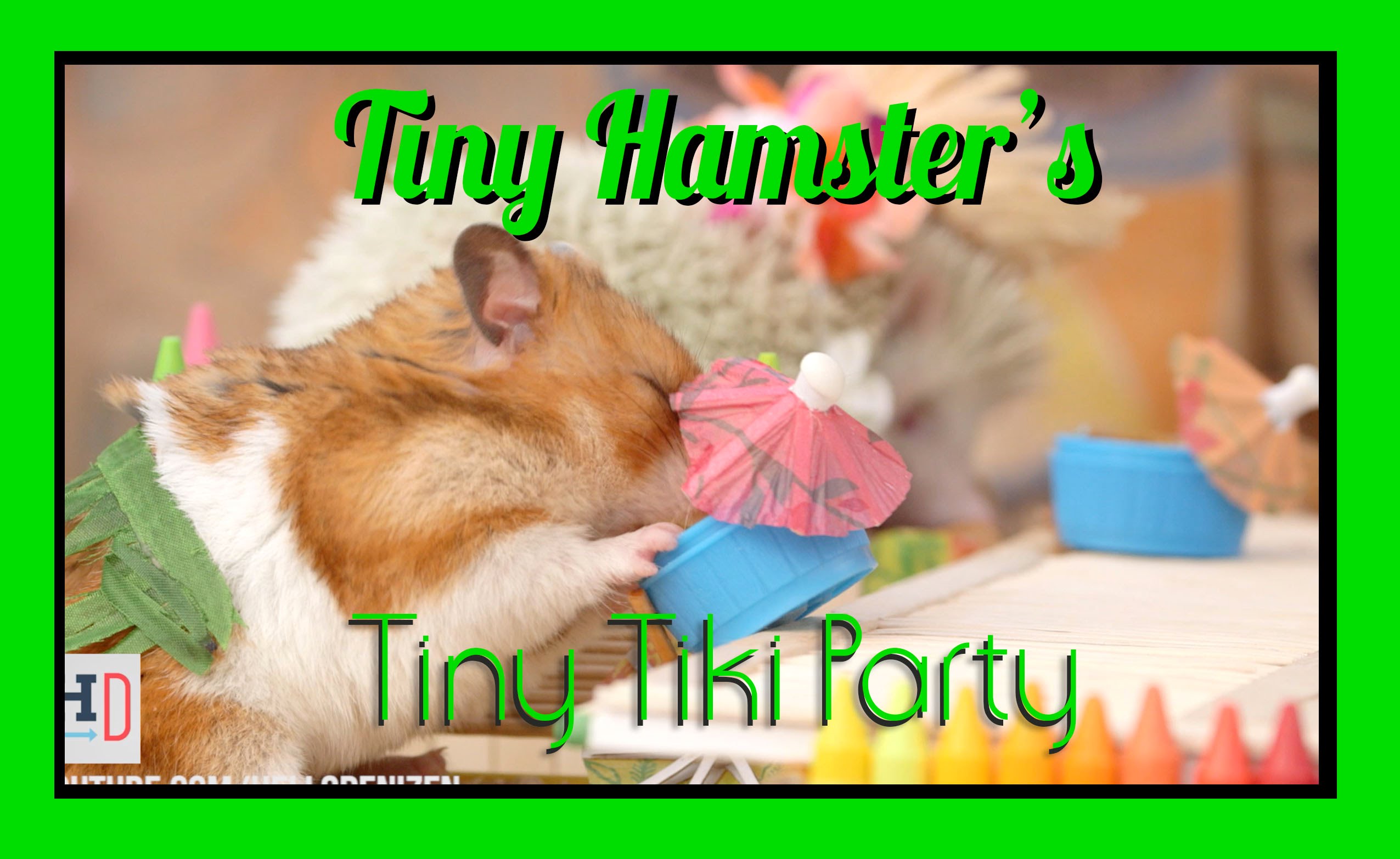 A Tiny Hamster Holds a Tiny Tiki Party Complete With a Full Bar and a ...