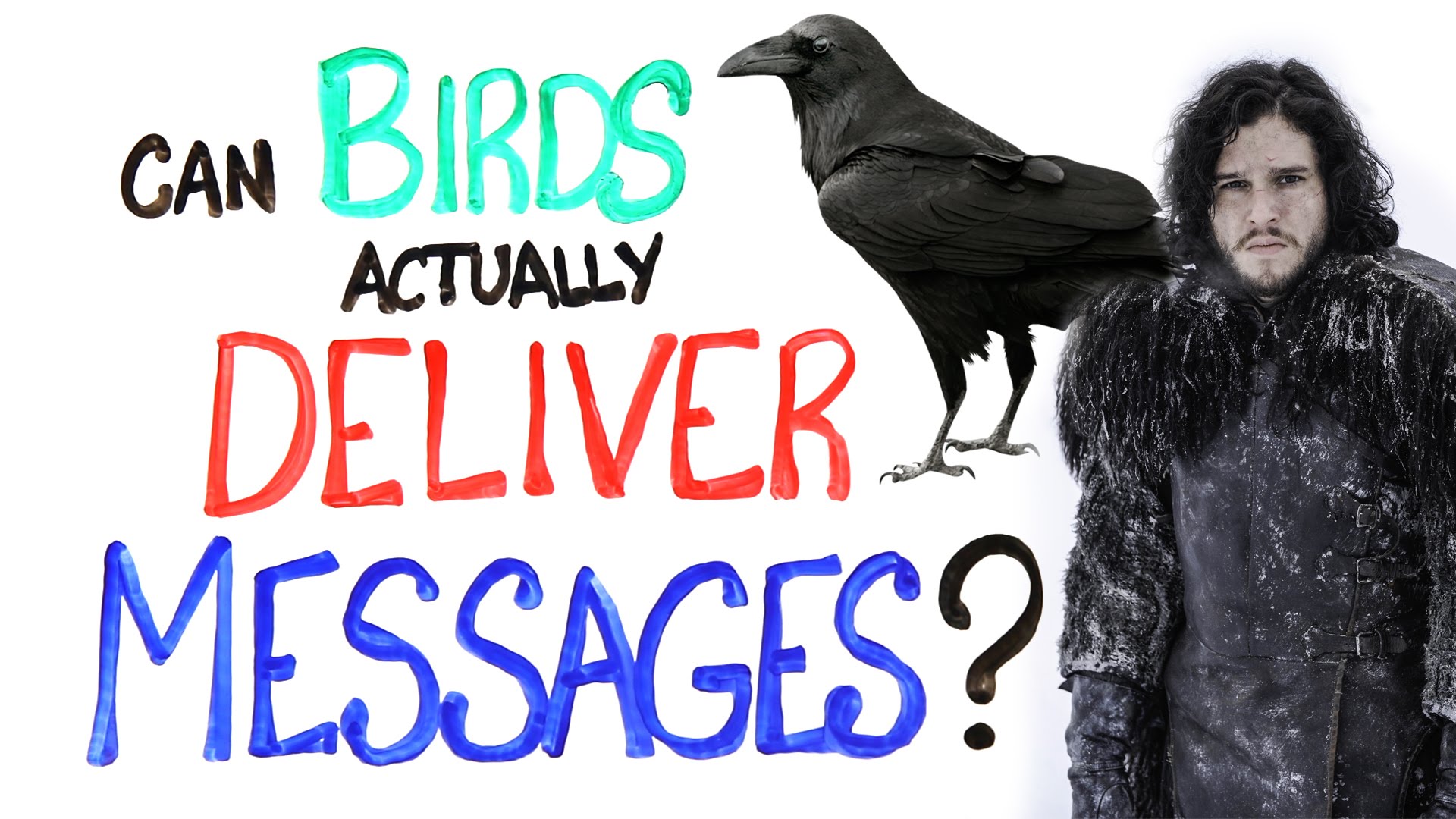 AsapSCIENCE Explains Whether Birds Can Actually Deliver Messages the ...