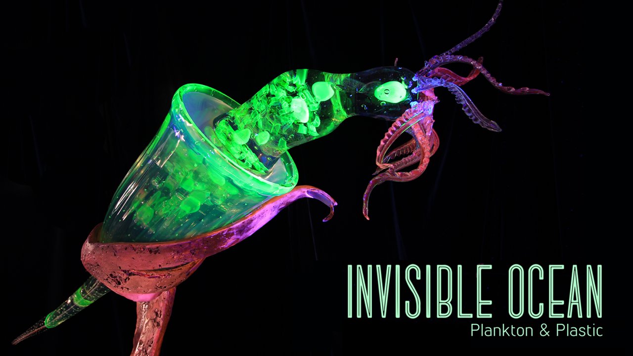 'Invisible Ocean: Plankton & Plastic', A Short Documentary About a ...