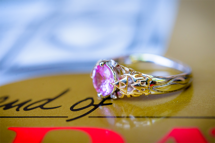 Software Engineer Proposes to His Girlfriend by Reprogramming the ...