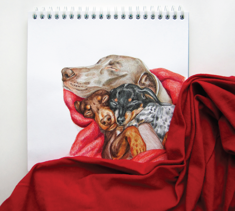A Clever Series of Illustrations That Portray Dogs Appearing to ...