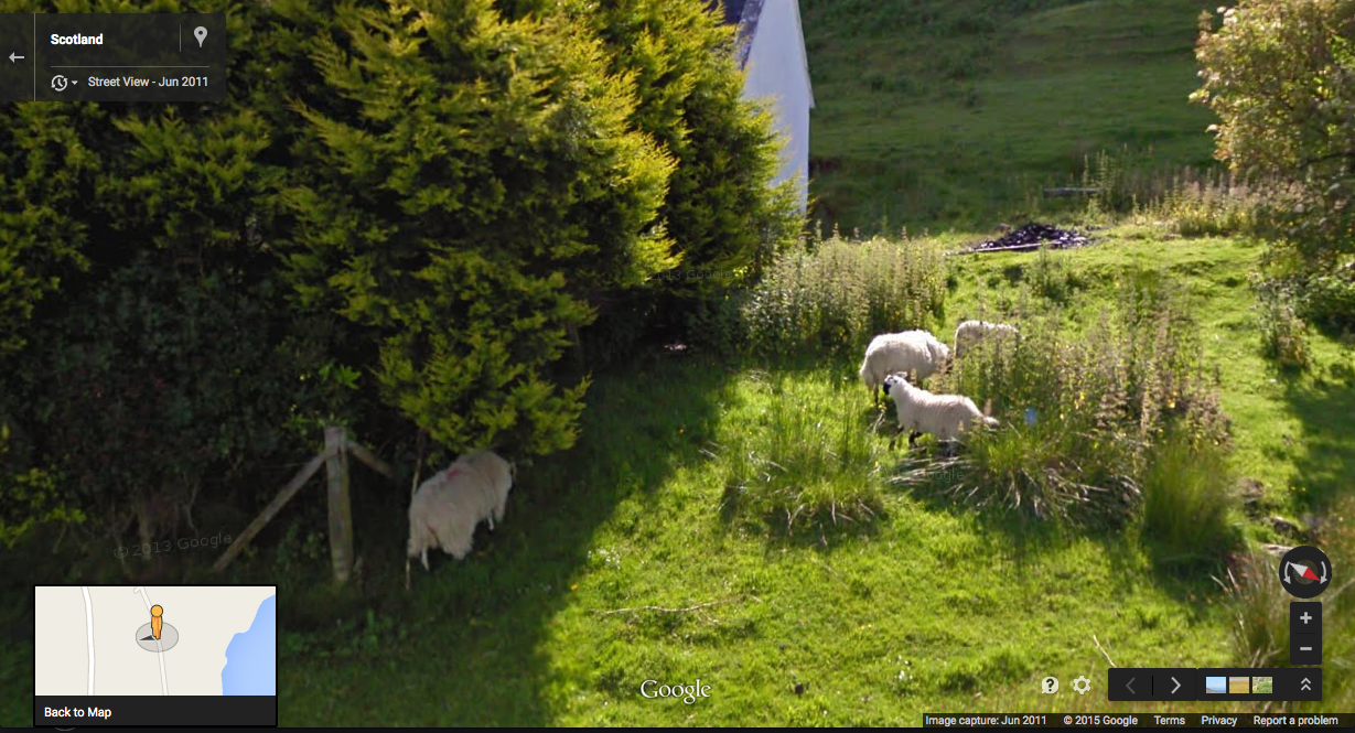 An Amusing Project That Collects Photos of Sheep From Google Street View