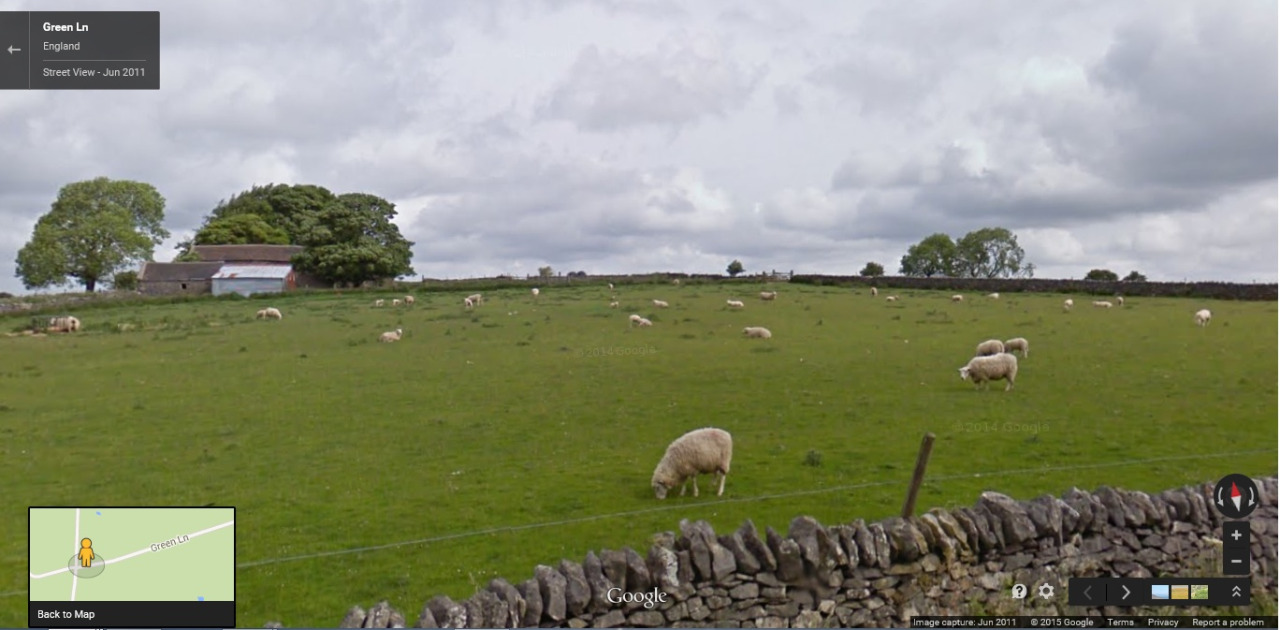 An Amusing Project That Collects Photos of Sheep From Google Street View