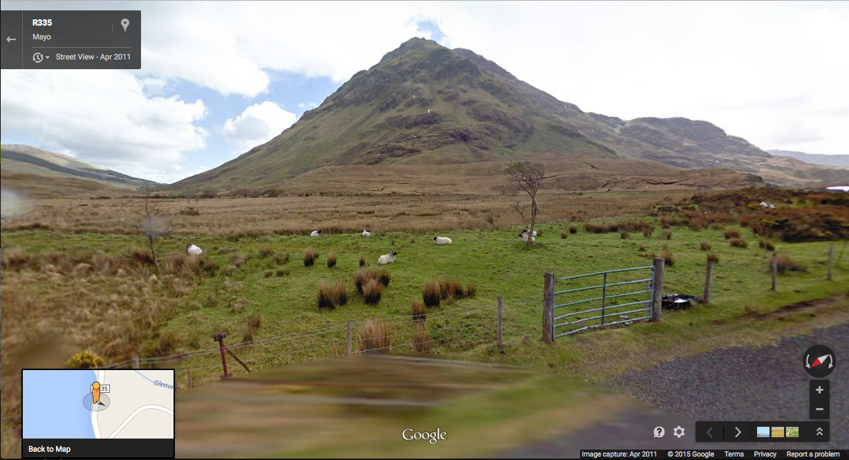 An Amusing Project That Collects Photos of Sheep From Google Street View
