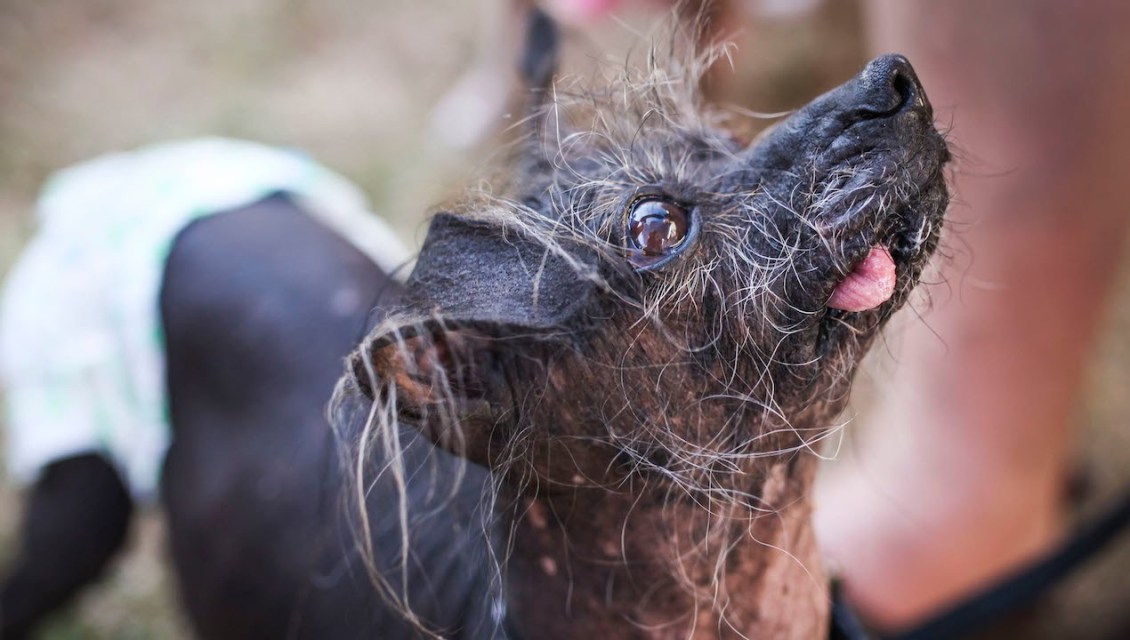 Laughing Squid blog posts published in June 2015 | Page 1