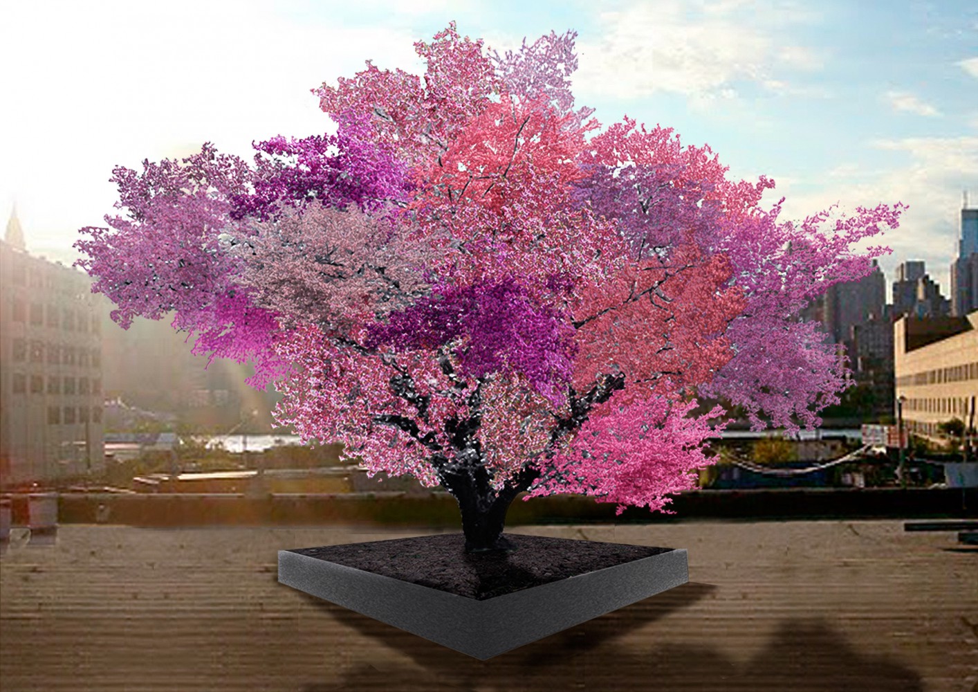 Tree of 40 Fruit, A Hyper Hybrid Tree That Grows Over 40 Varieties of ...