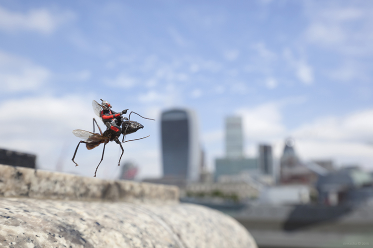 Artist Creates Miniature 'Ant-Man' Installations Around London of the ...