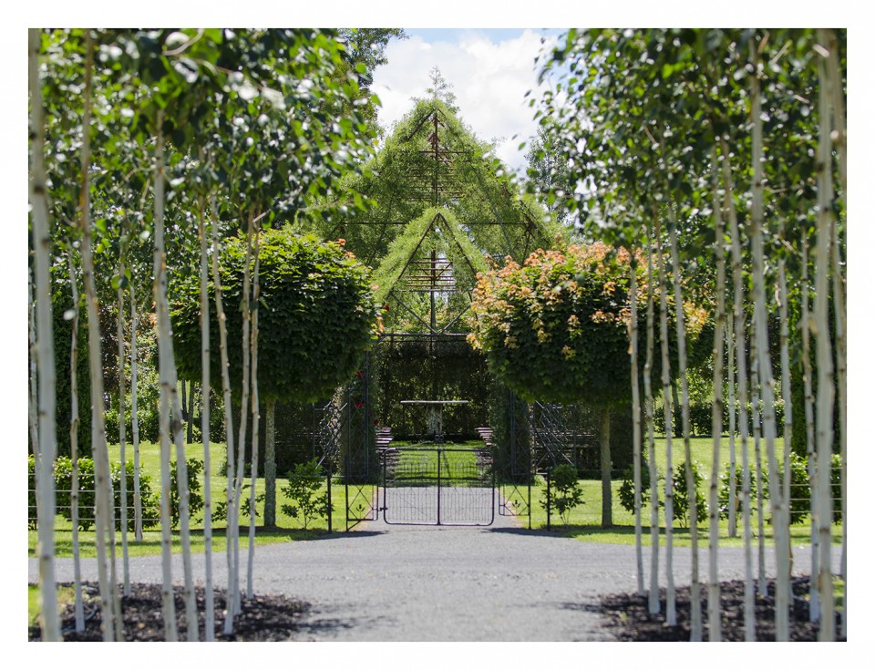 New Zealand Arborist Builds A Magnificent Church That Has Been ...