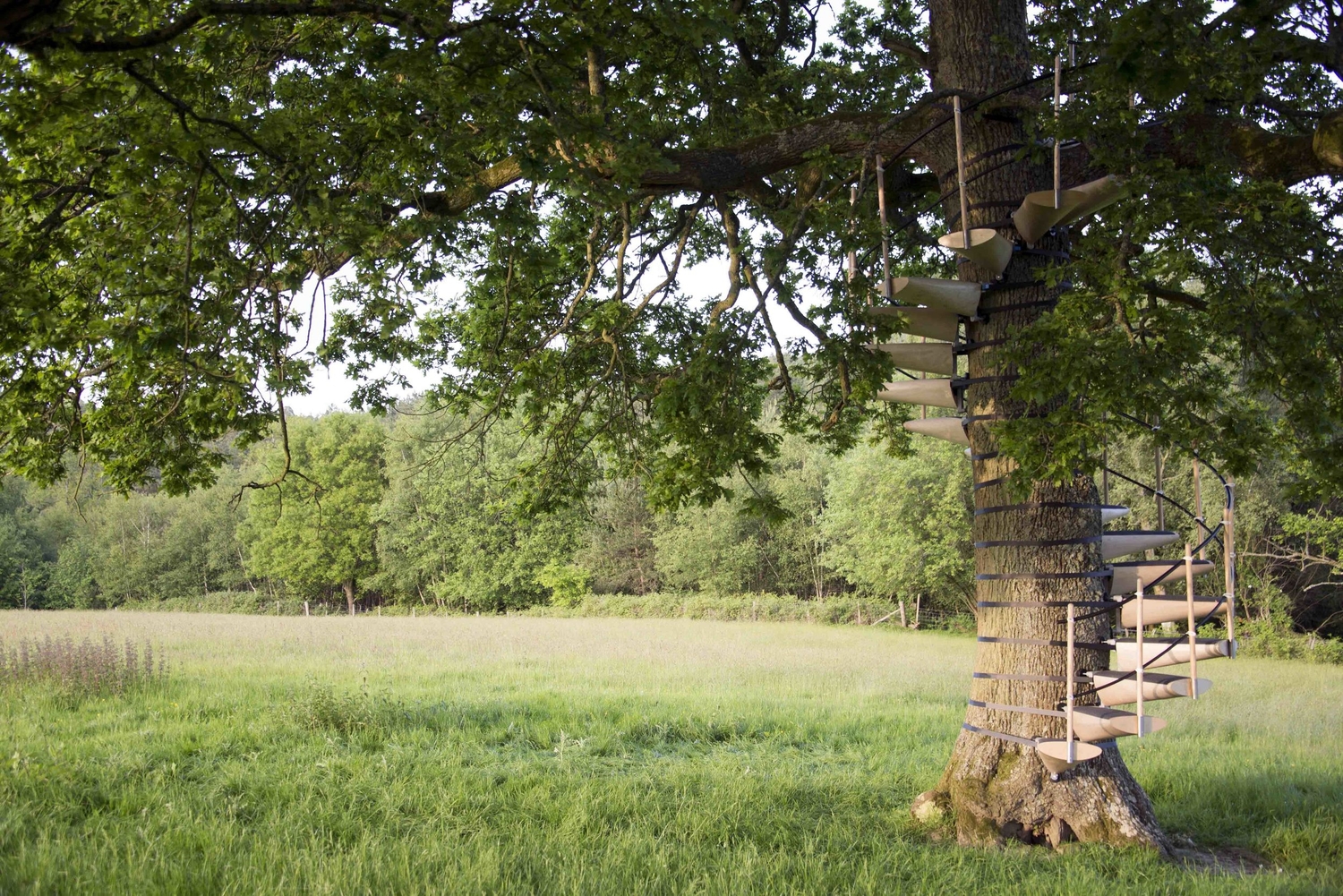 CanopyStair, A Spiral Staircase That Straps to the Trunk of a Tree