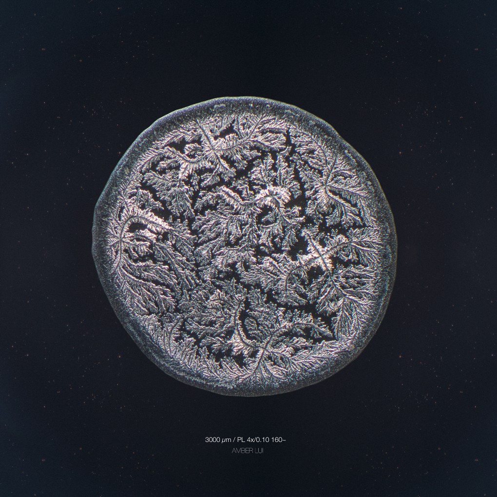 A Series of Photographs That Captures a Microscopic Look at ...