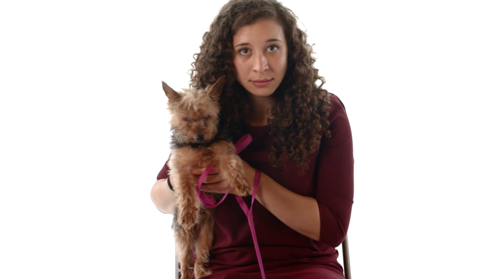 A Humorous Dog Adoption Campaign That Cleverly Utilizes the Ashley ...
