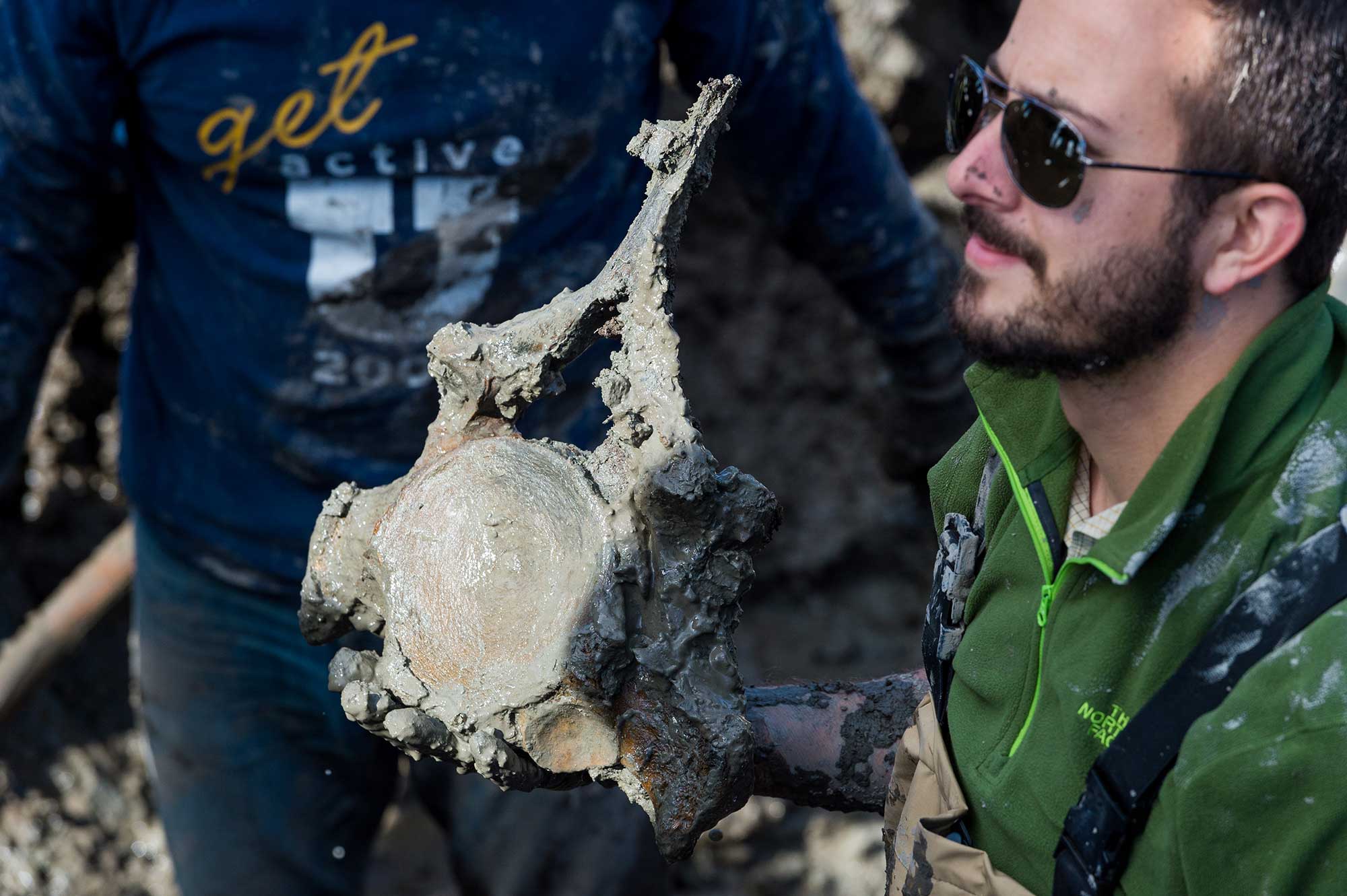Farmer Discovers the Partial Remains of a Wooly Mammoth on His Land in ...
