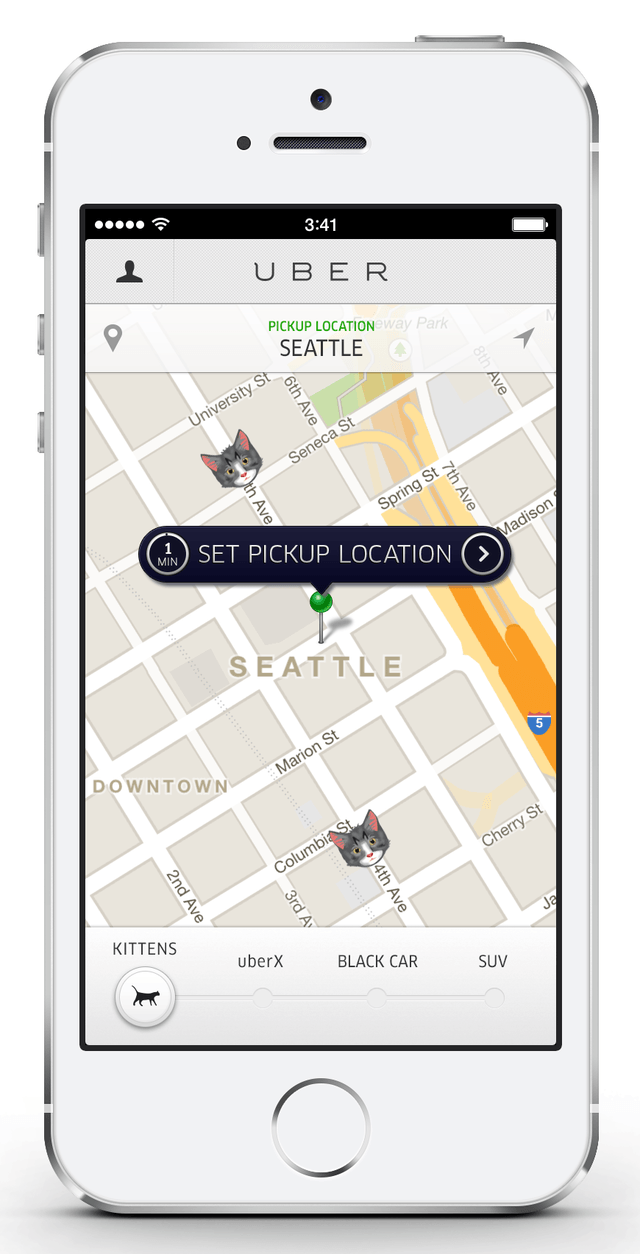 Uber to Deliver Adoptable Kittens to Offices Across the U.S. on October ...