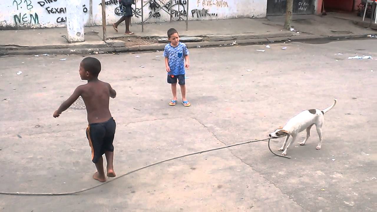Stray Dog Acts a Turner in a Lively Game of Jump Rope With the Children ...