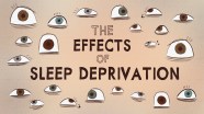 The Devastating Effects That Sleep Deprivation Can Have On The Human Body The Devastating Effects That Sleep Deprivation Can Have On The Human Body