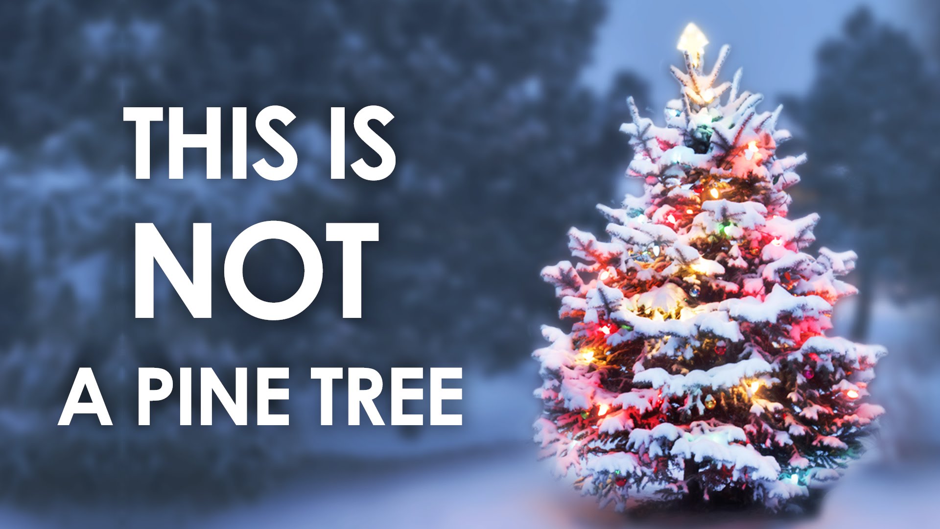 Tree Of Life Minuteearth - The Earth Images Revimage.Org