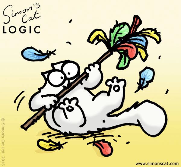 Cat Behaviorist Explains Why Felines Run Crazy Around the House in New ...