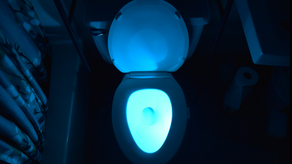 The IllumiBowl, A Toilet Nightlight With a Range of Colors to Light Up ...
