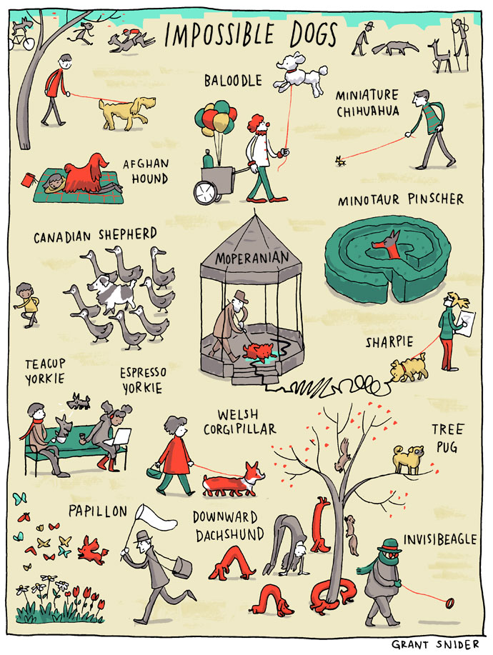 A Collection of Curiously Impossible Dogs
