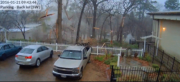 A Security Camera Captures Lightning Striking a Tree, Sending Branches ...