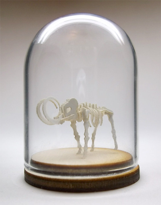 Tiny Dinosaur Skeleton Paper Sculpture Kits