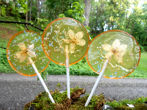 Unique Handcrafted Lollipops With Lovely Edible Flowers Embedded Inside