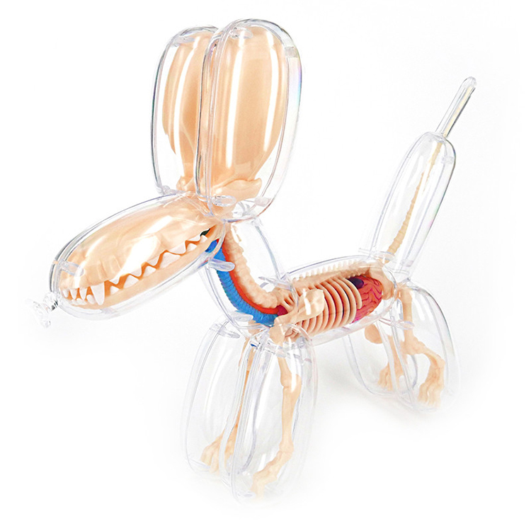 Anatomical Sculptures of a Classic Balloon Dog and a Rubber Duck by ...
