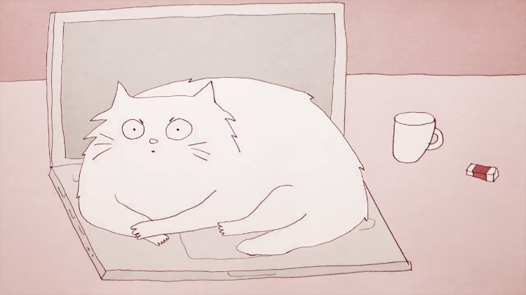 Veterinary Expert Explains the Often Odd Behavior Exhibited in Domestic ...