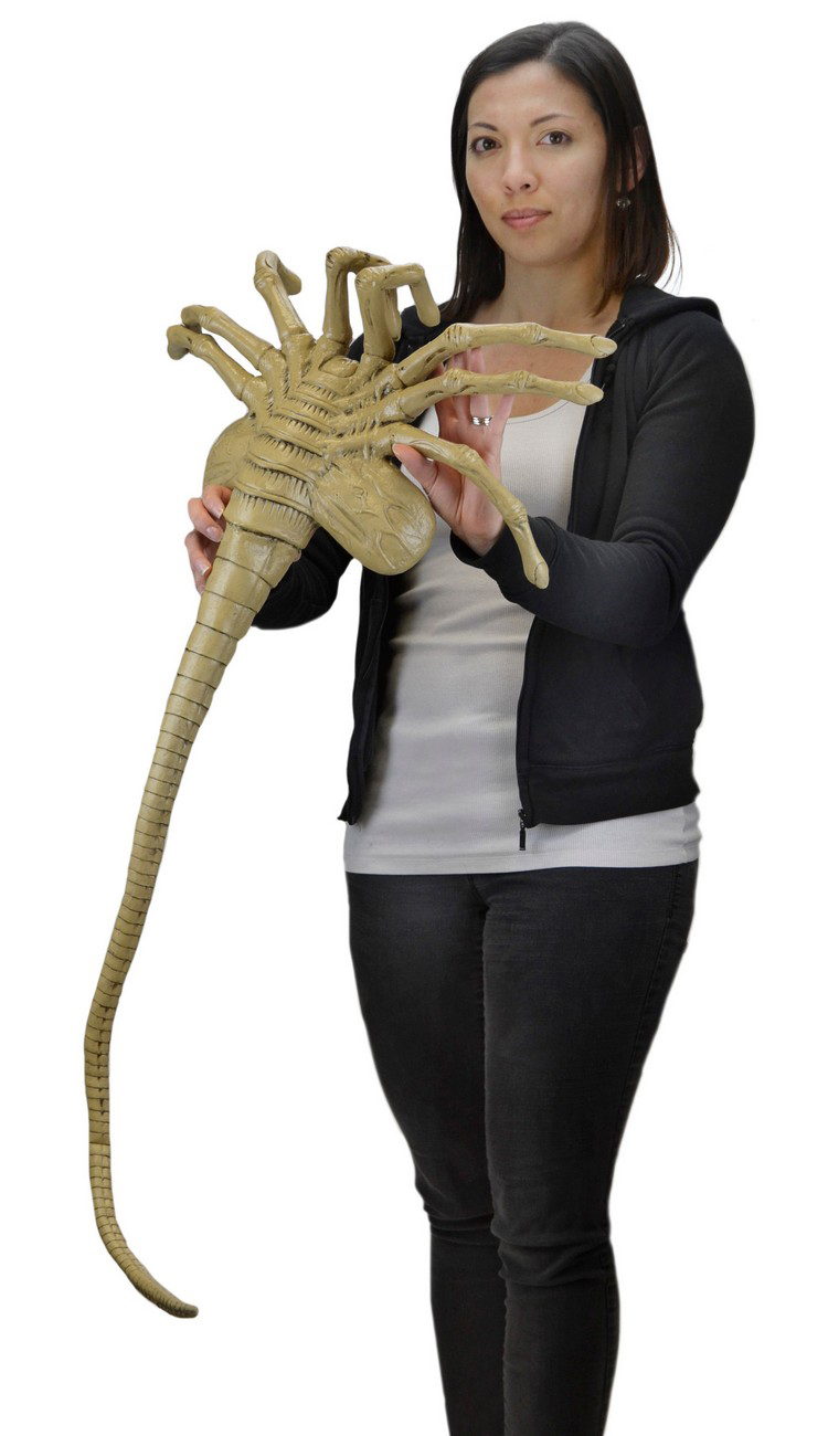 A Full-Size Foam Replica of an Alien Facehugger