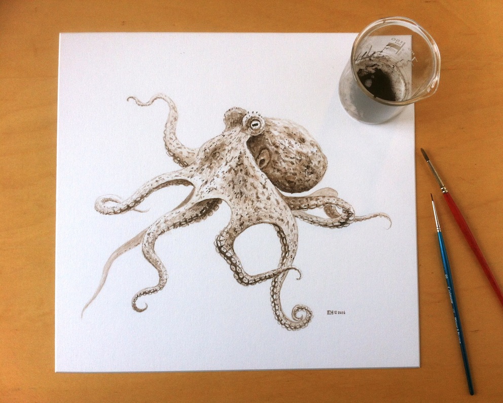 A Stunning Illustration of a 95 Million Year Old Octopus Drawn With Its ...