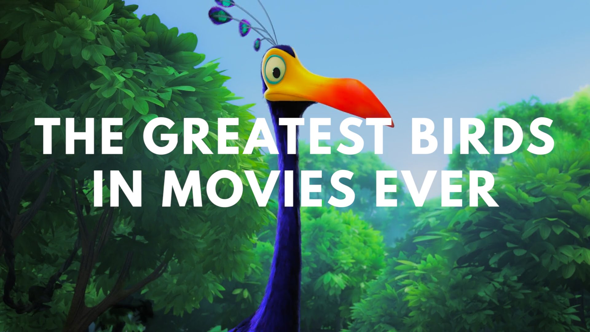 A Supercut Featuring Some of the Greatest Birds in Movies