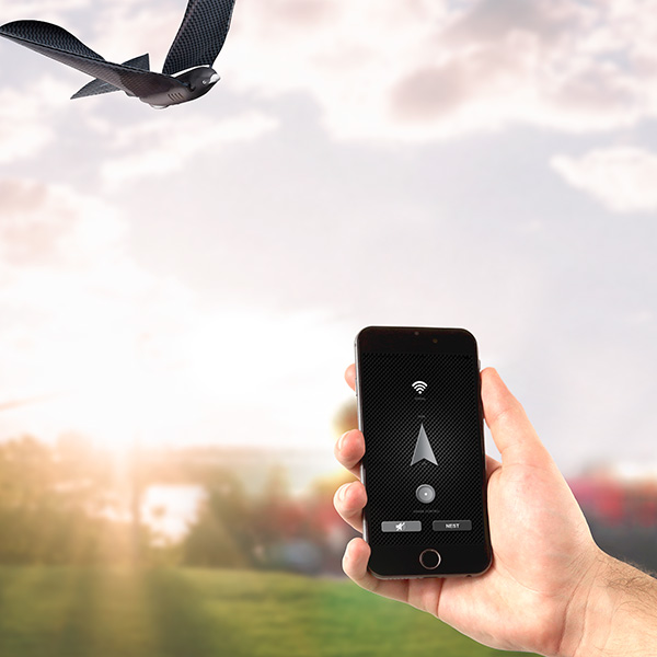 Bionic Bird, A Smartphone Controlled Robotic Bird That Can Fly Indoors ...