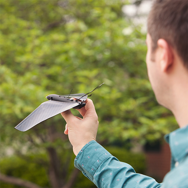 Bionic Bird, A Smartphone Controlled Robotic Bird That Can Fly Indoors ...
