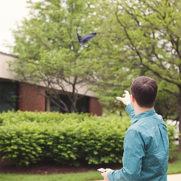 Bionic Bird, A Smartphone Controlled Robotic Bird That Can Fly Indoors ...