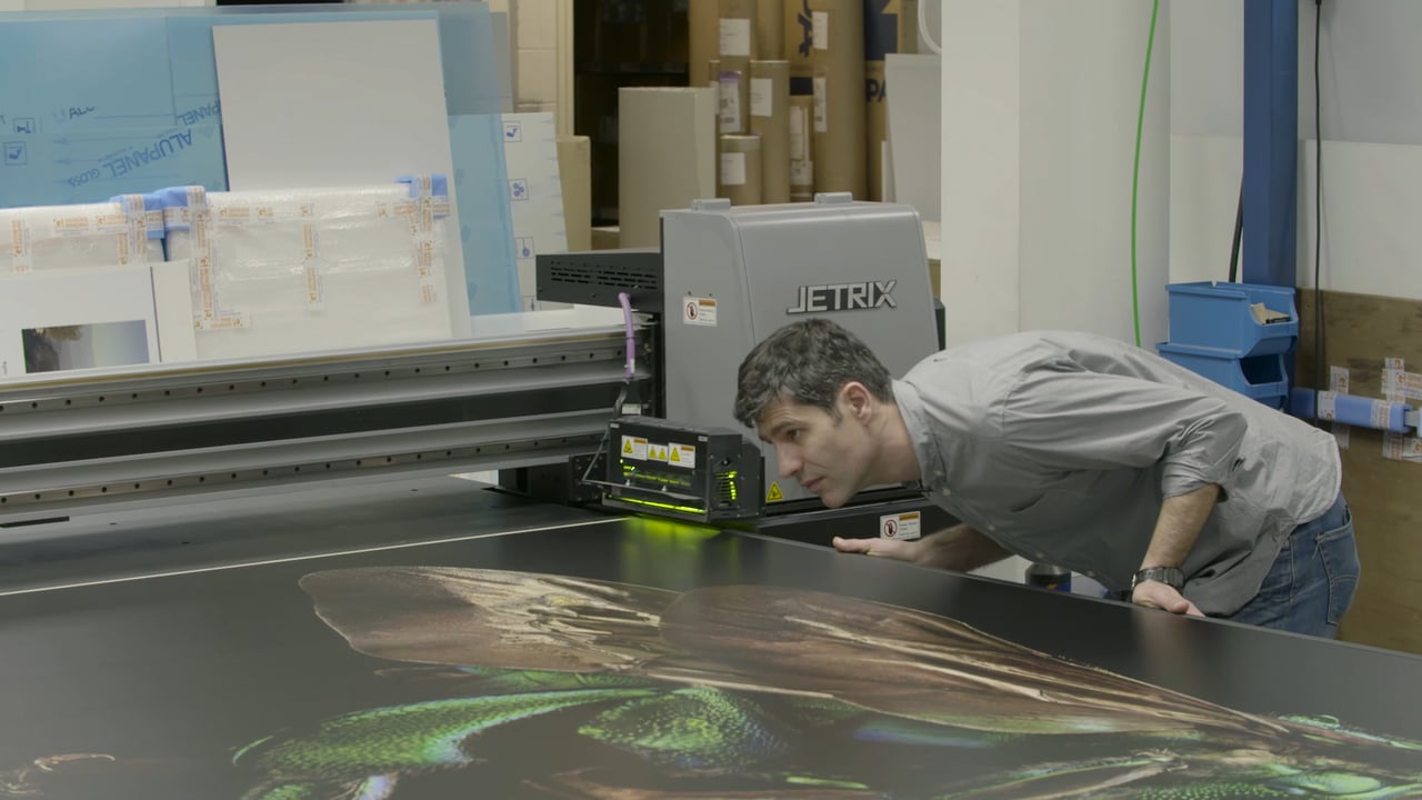 Photographer Creates Giant Images of Tiny Insects With Thousands of ...