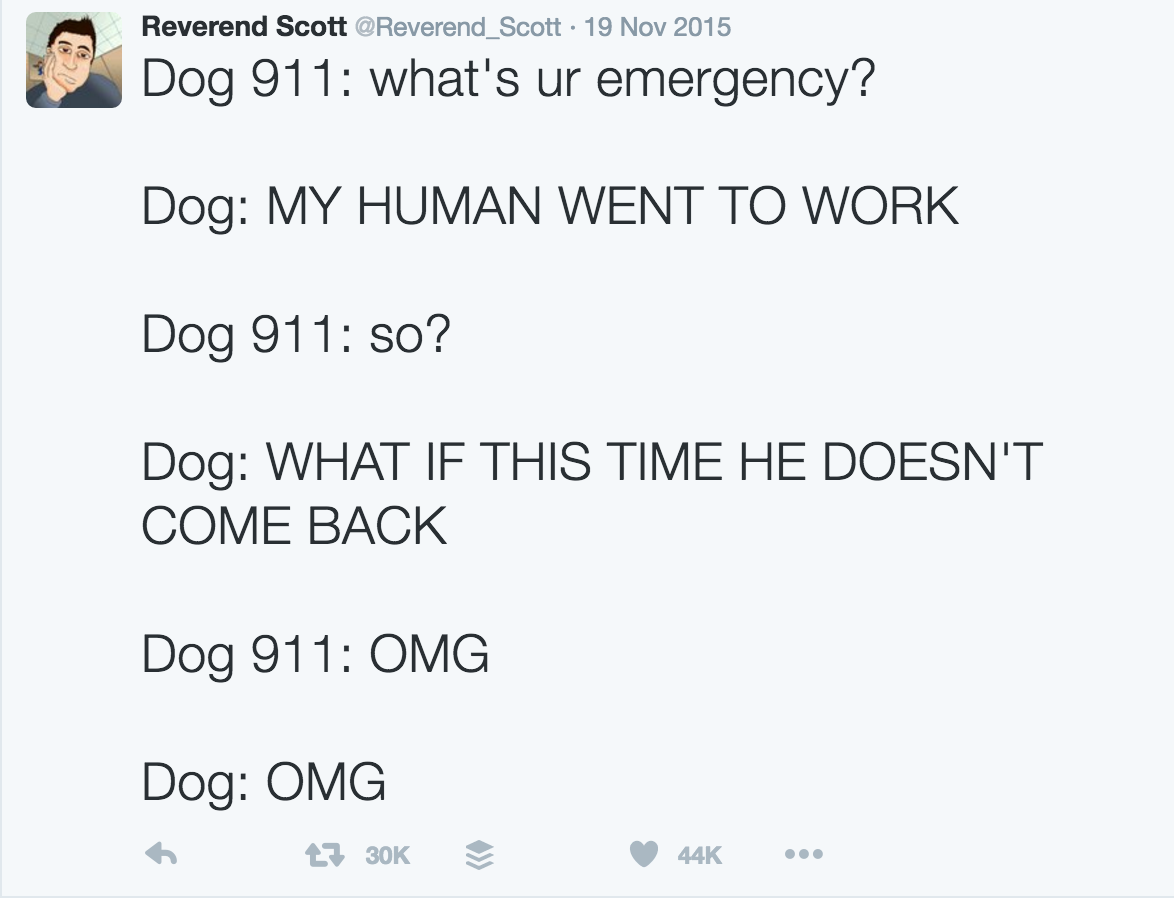 What Dogs Would Say If They Could Call 911