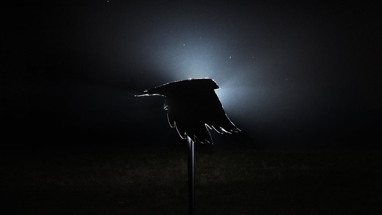Nightlife, A Stunning Low Light, Stop-Motion Film Made With a Sequence ...