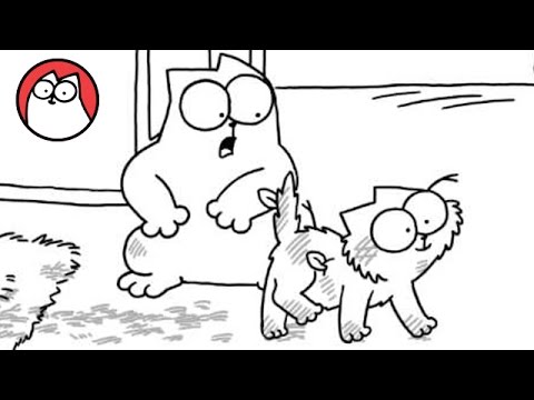 Simon's Cat Gets Blamed For Muddying the Floors That His Human Just Cleaned
