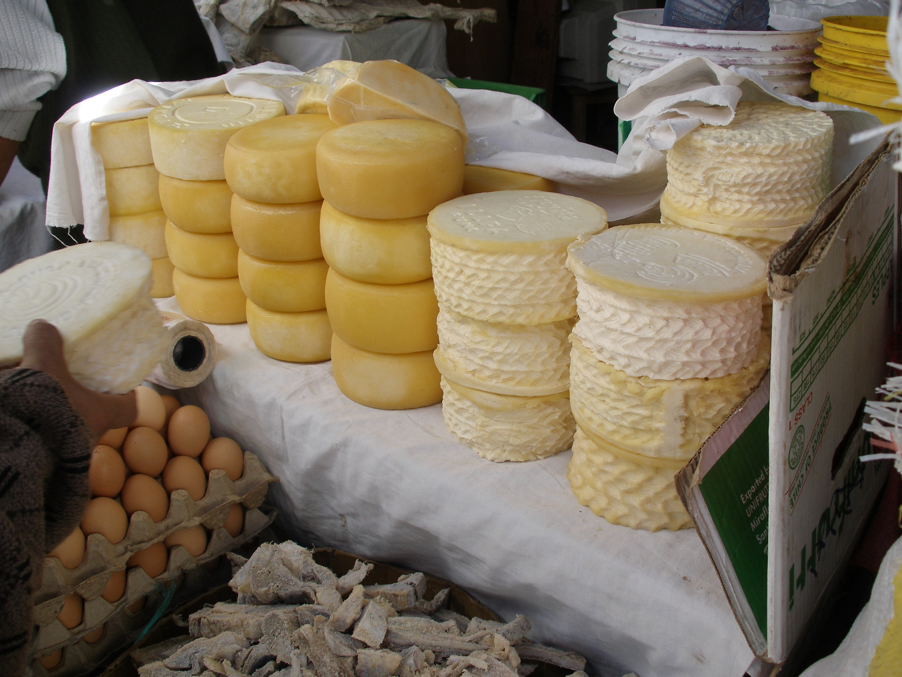 Dispelling the Common Myth That Mice Love Cheese