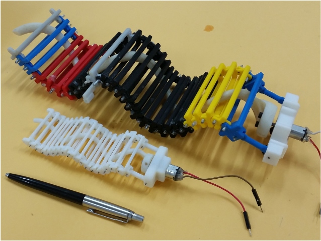 Single-Actuator Robot Mimics the Movement of a Snake to Push Itself ...