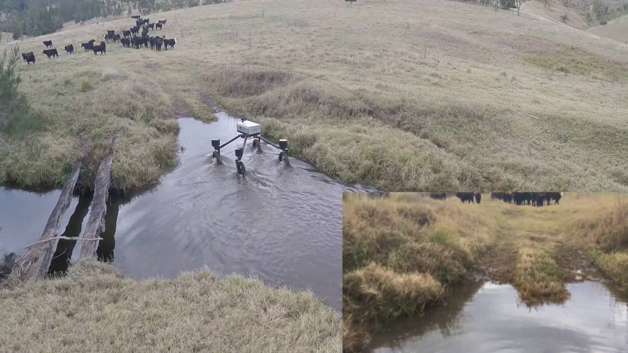 SwagBot, A Farming Robot Used for Herding Animals, Towing Equipment ...